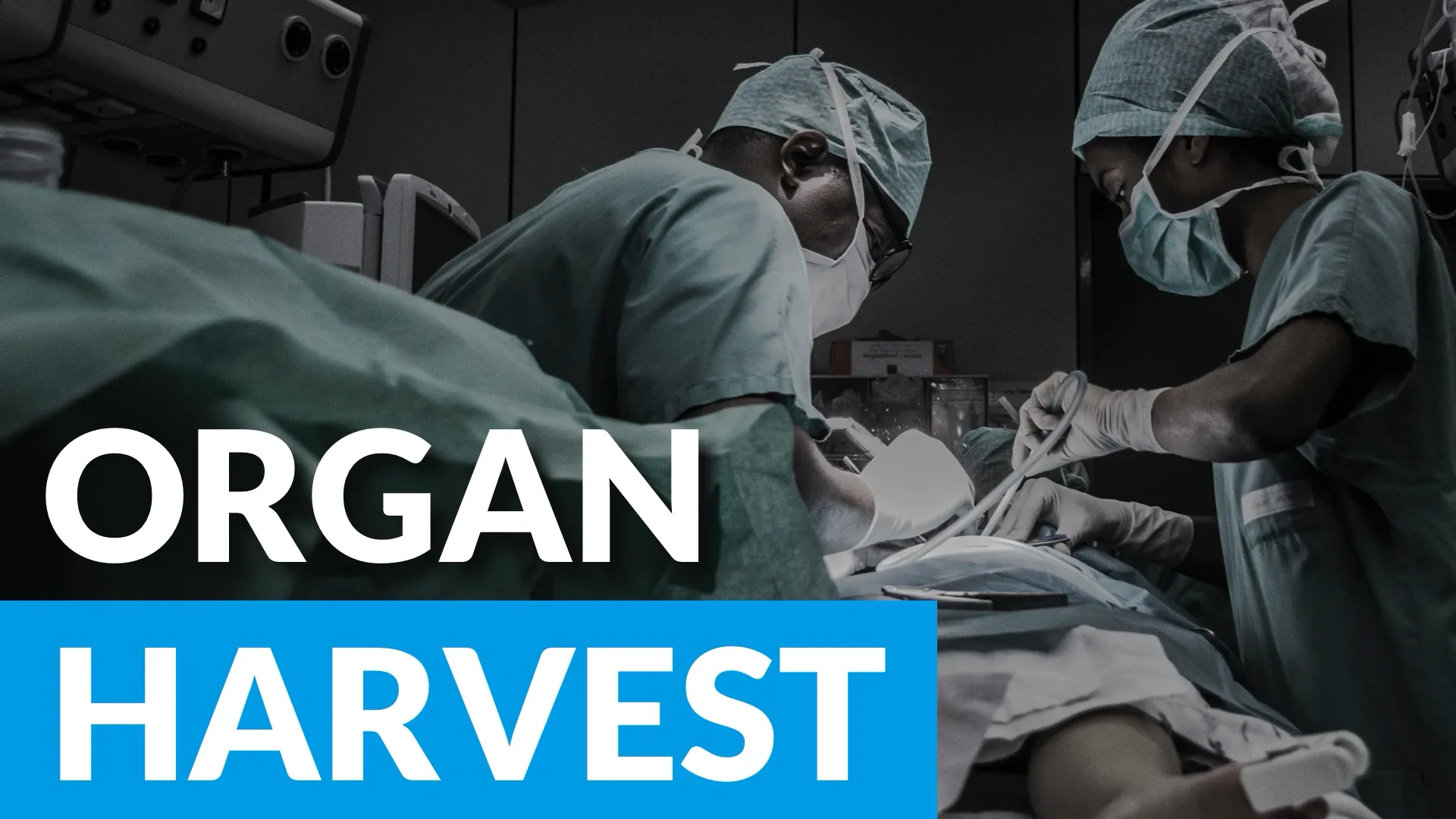 Organ Donation: The Reason For Accidents