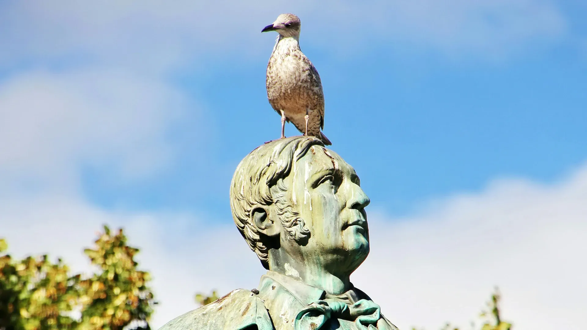 Surviving The “New Norm” - Know Your Rights, Laws That Can Protect You